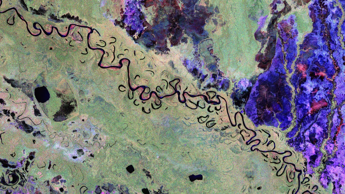 See Earth’s Forests as Never Before in Biomass Satellite’s First Images - Group Biomass Common ...